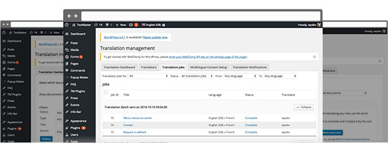 WPML Translation - TextMaster